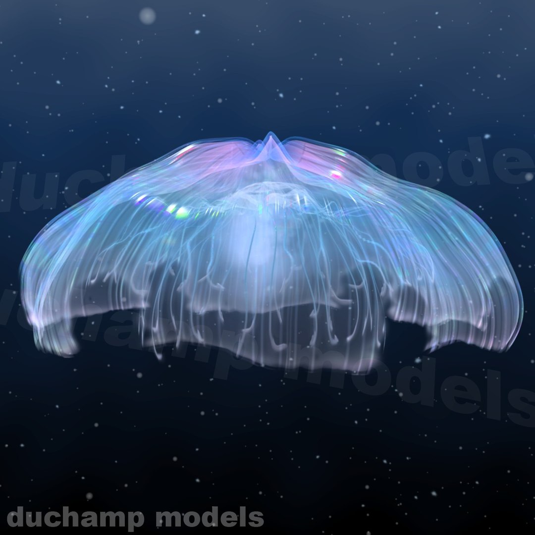 3ds Max Jellyfish Animations