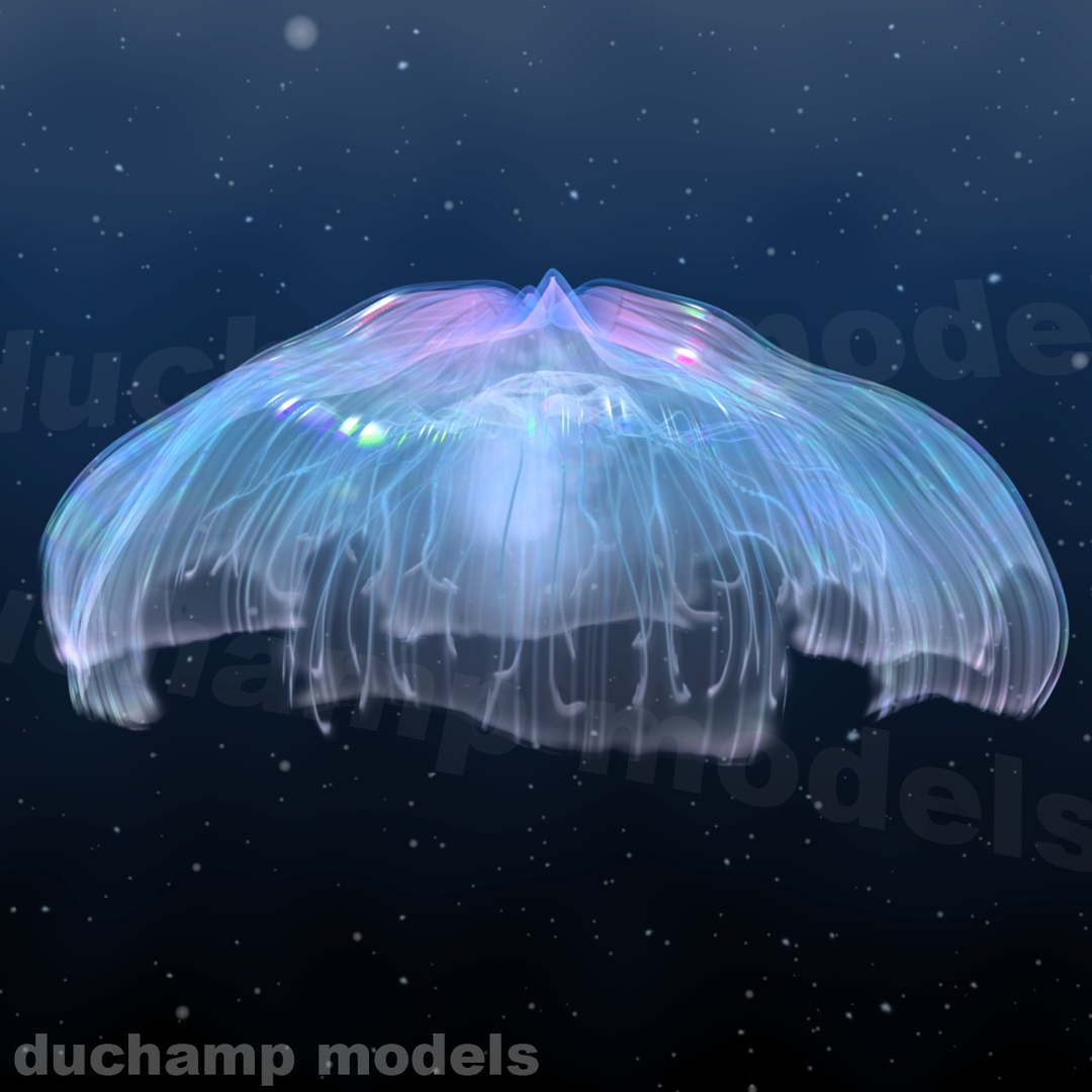3ds max jellyfish animations