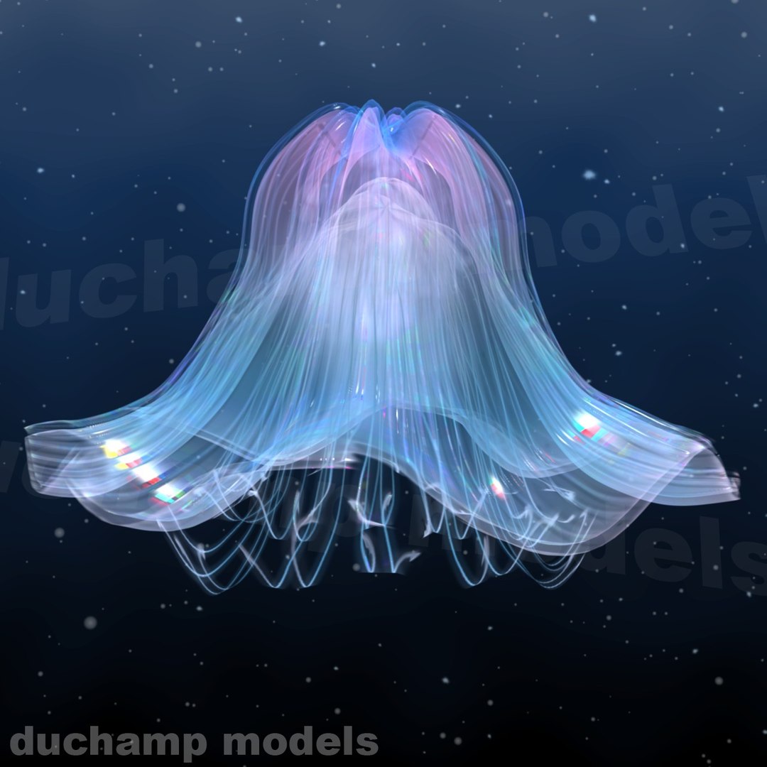 3ds Max Jellyfish Animations