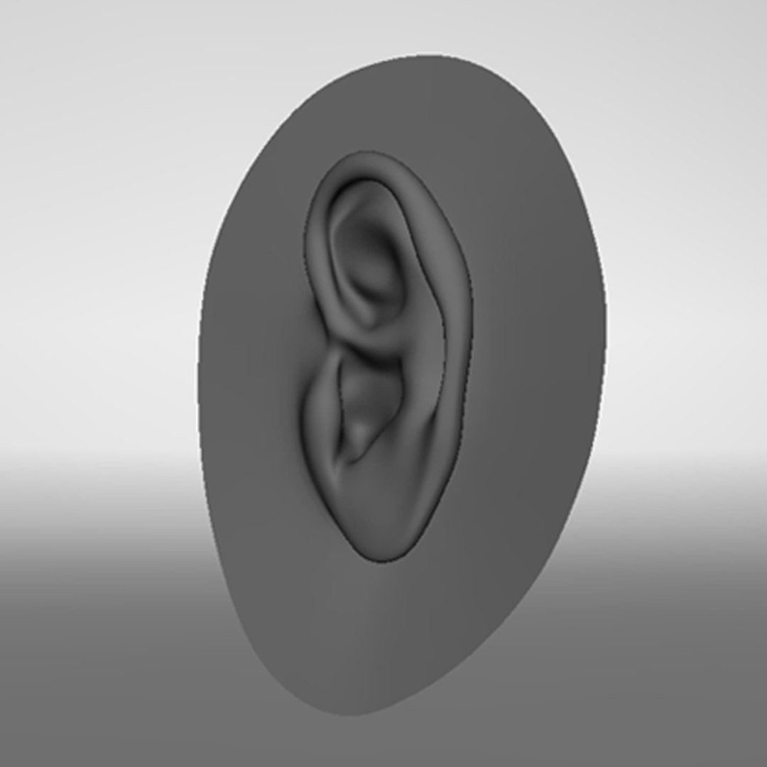 3d Realistic Human Ear