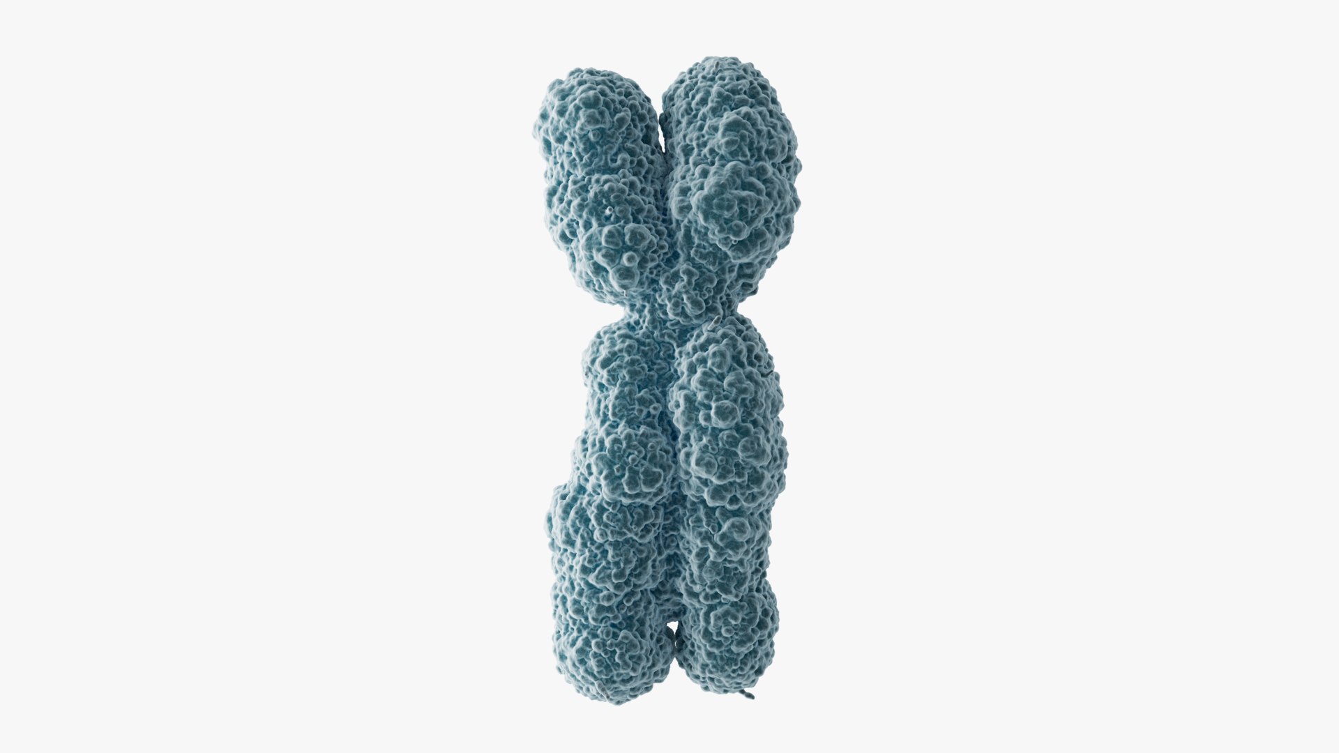 Chromosome X 3D Model - TurboSquid 2226506
