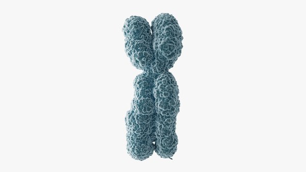 modelo 3d Cromosoma X - TurboSquid 2226506