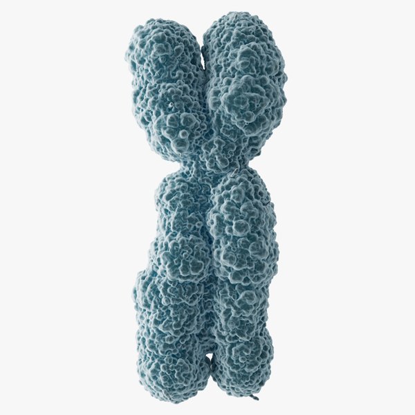 modelo 3d Cromosoma X - TurboSquid 2226506