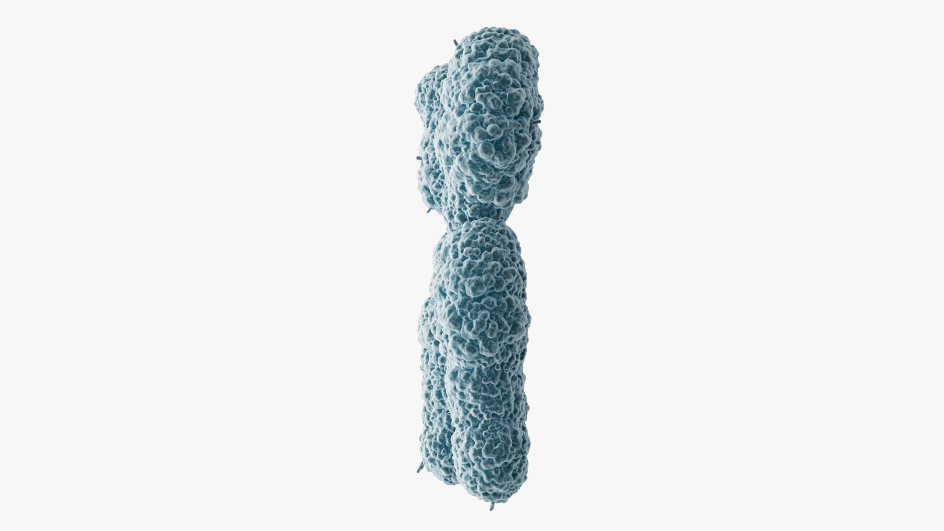 Chromosome X 3D Model - TurboSquid 2226506