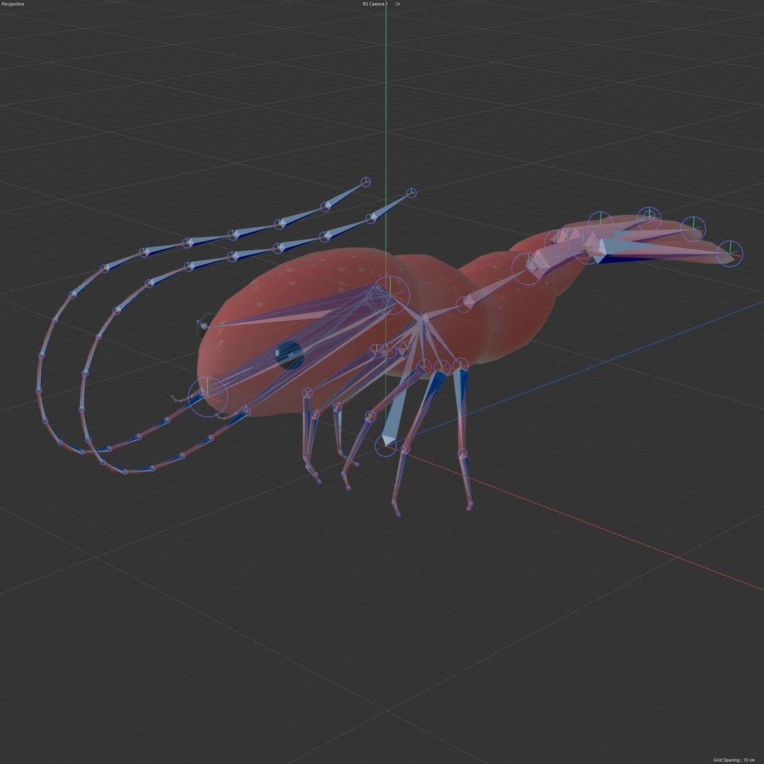 Shrimp Cute Stylized Rigged 3D model - TurboSquid 2154486
