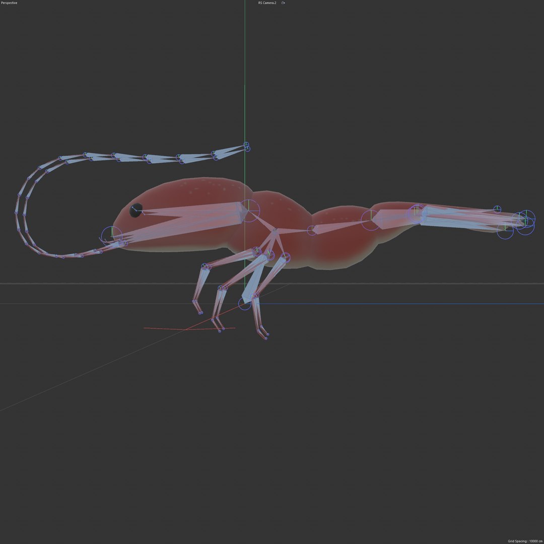 Shrimp Cute Stylized Rigged 3D model - TurboSquid 2154486