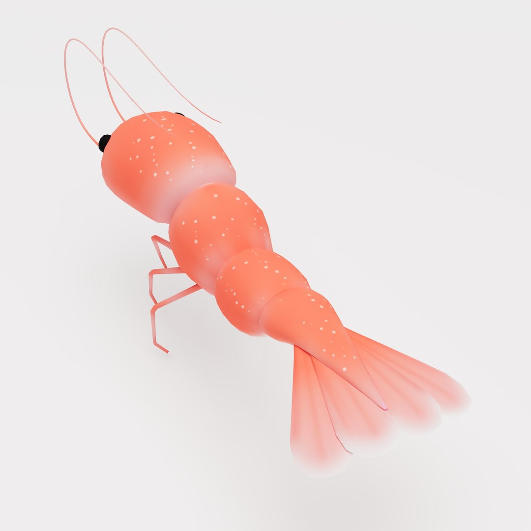 Shrimp Cute Stylized Rigged 3D model - TurboSquid 2154486