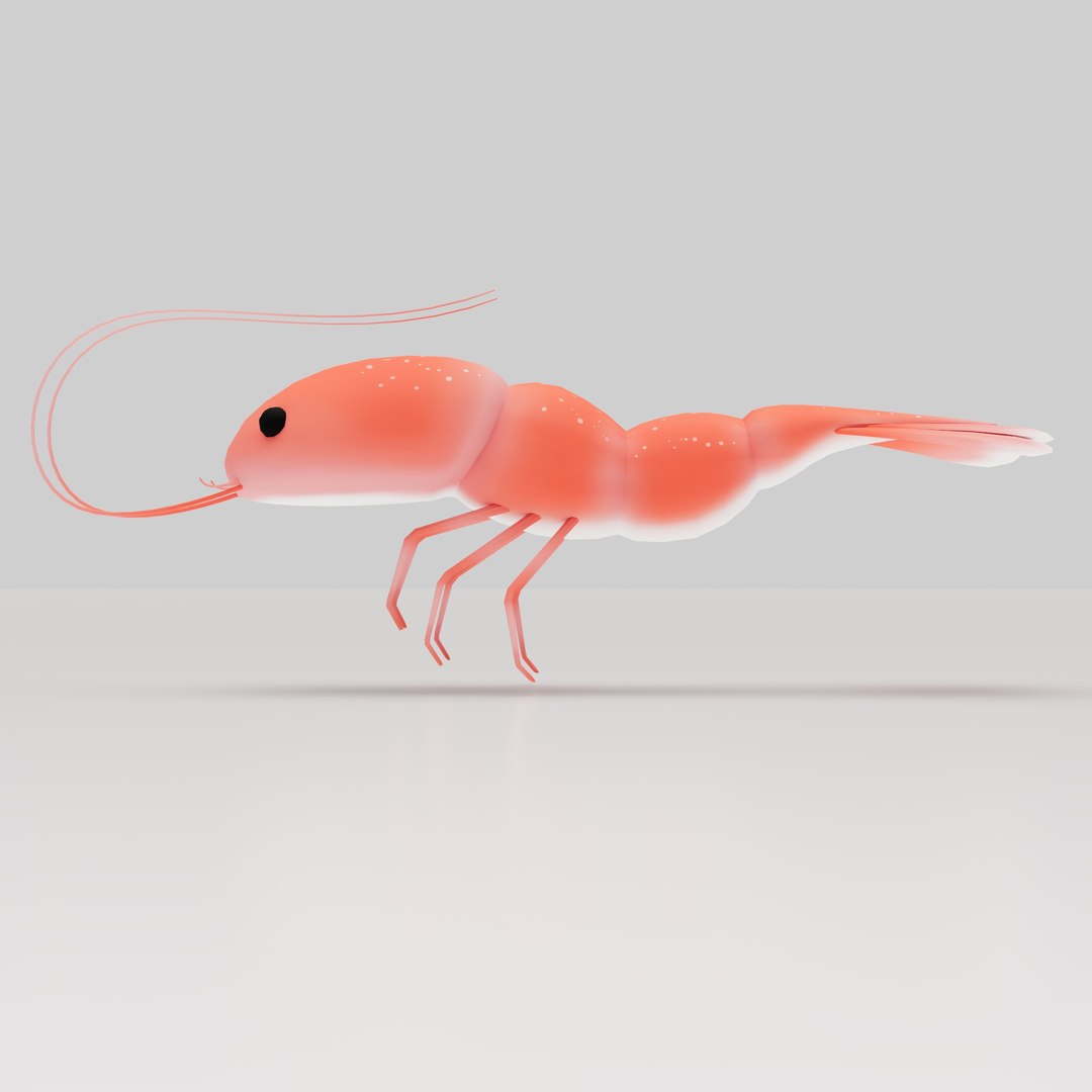 Shrimp Cute Stylized Rigged 3D model - TurboSquid 2154486