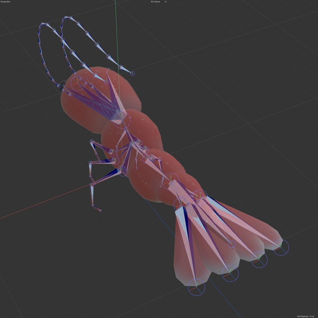 Shrimp Cute Stylized Rigged 3D model - TurboSquid 2154486