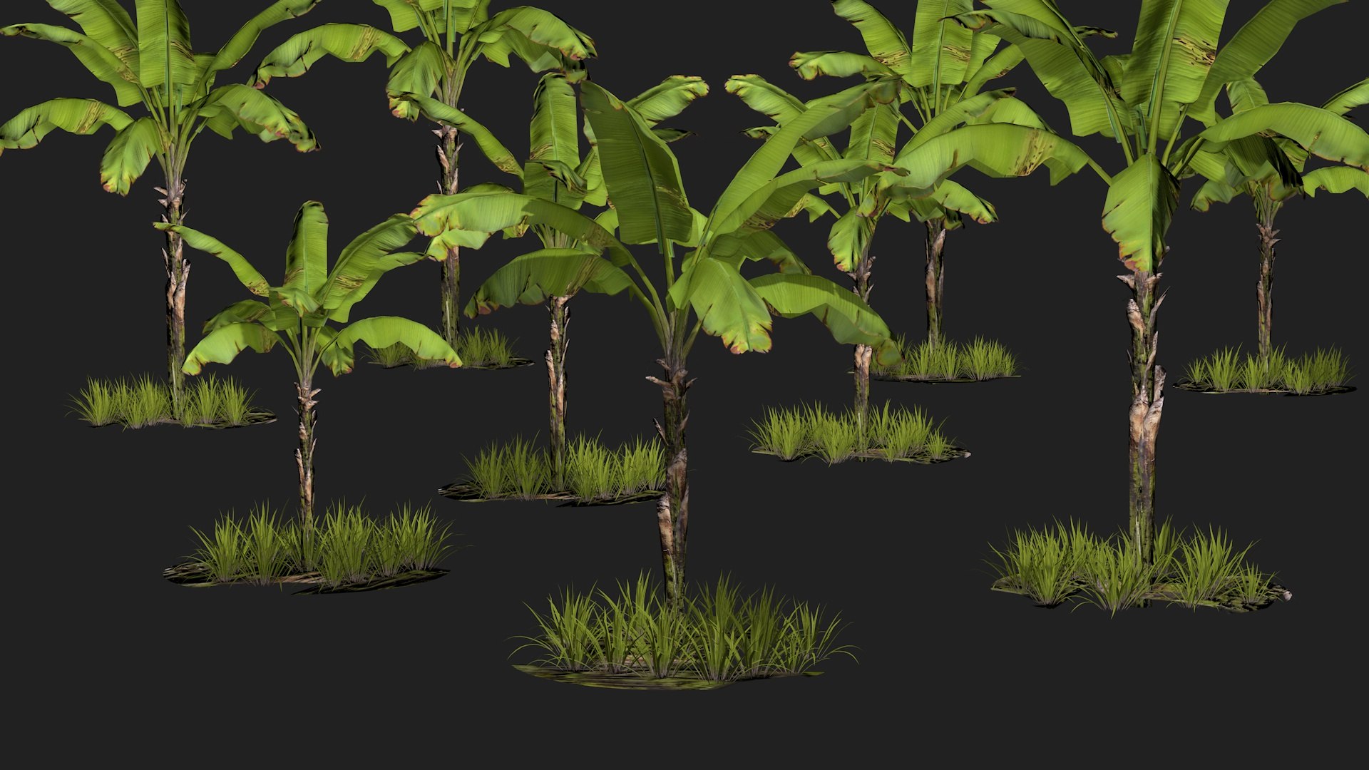 Banan Tree 3D Model - TurboSquid 1709551