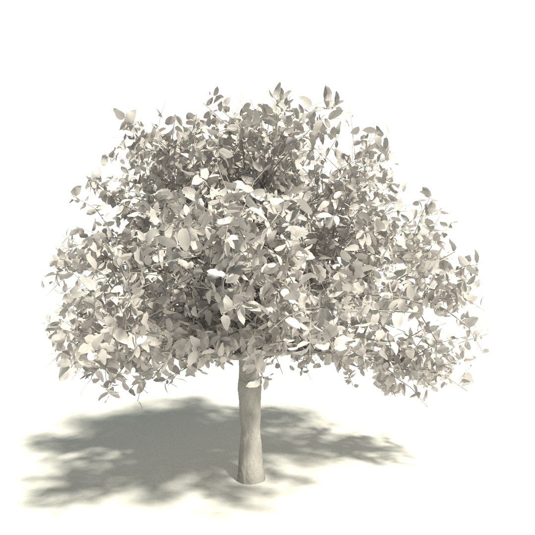 3d Tree Model