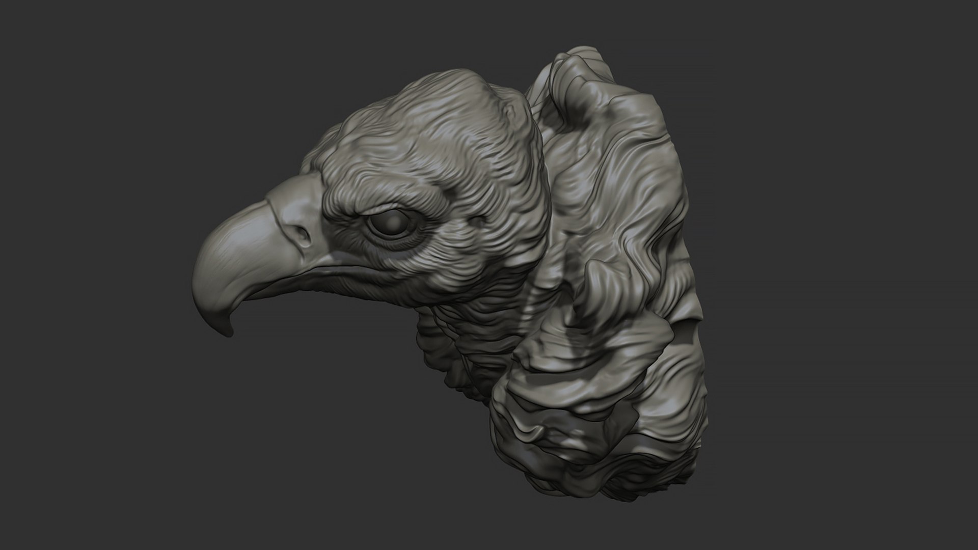 3D Vulture Head - TurboSquid 1935103