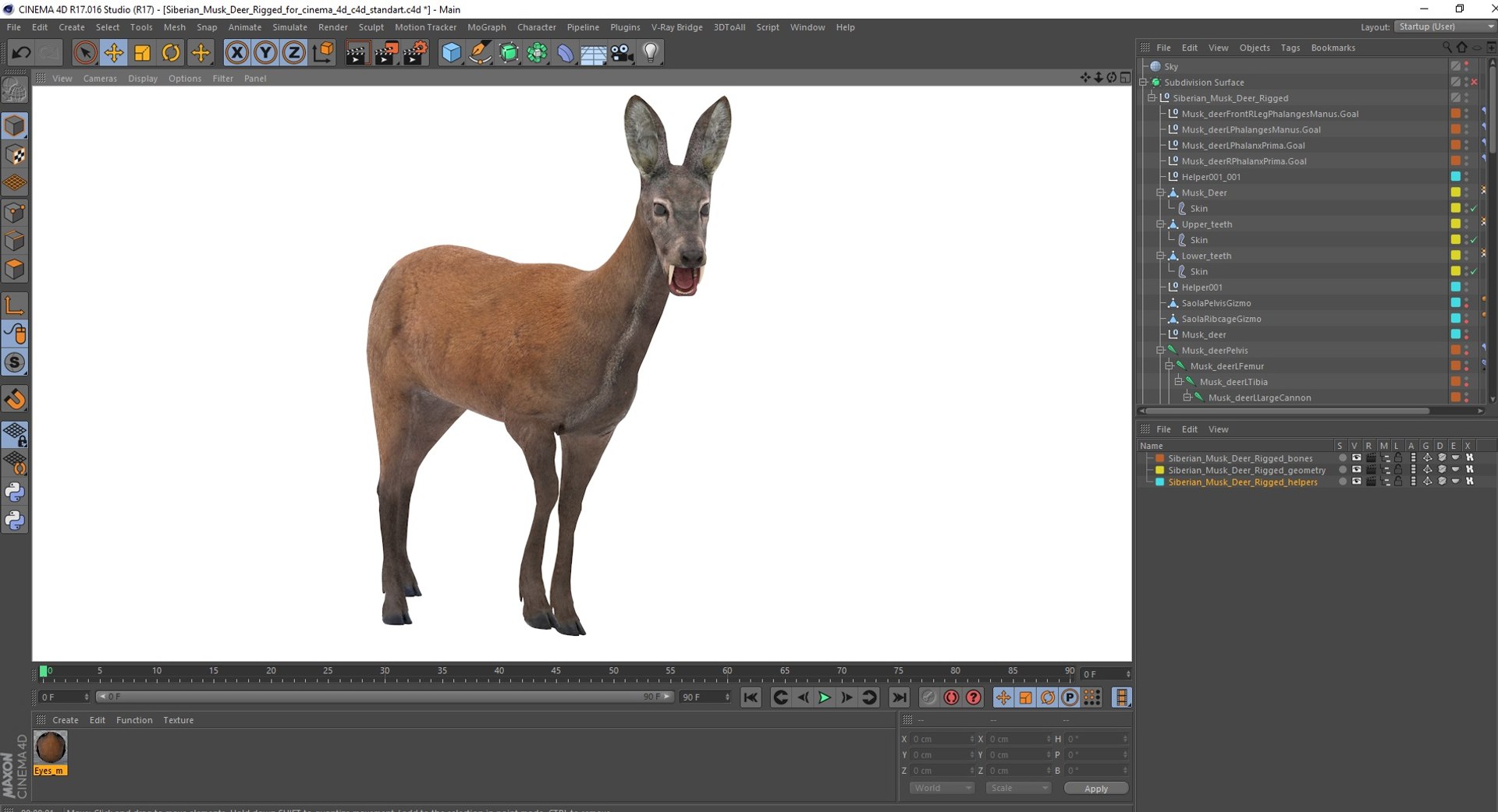 Siberian Musk Deer Rigged For Cinema 4D 3D Model - TurboSquid 2225120