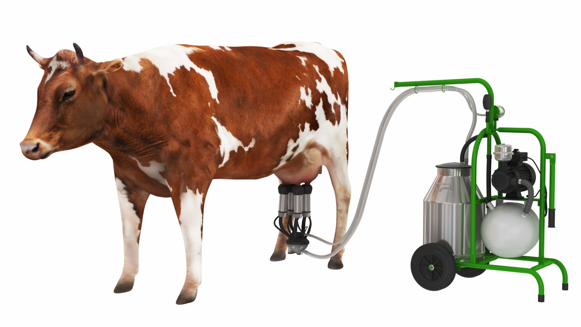 Milk Cooler Storage Tank And Portable Milking With Cow 3D Model ...