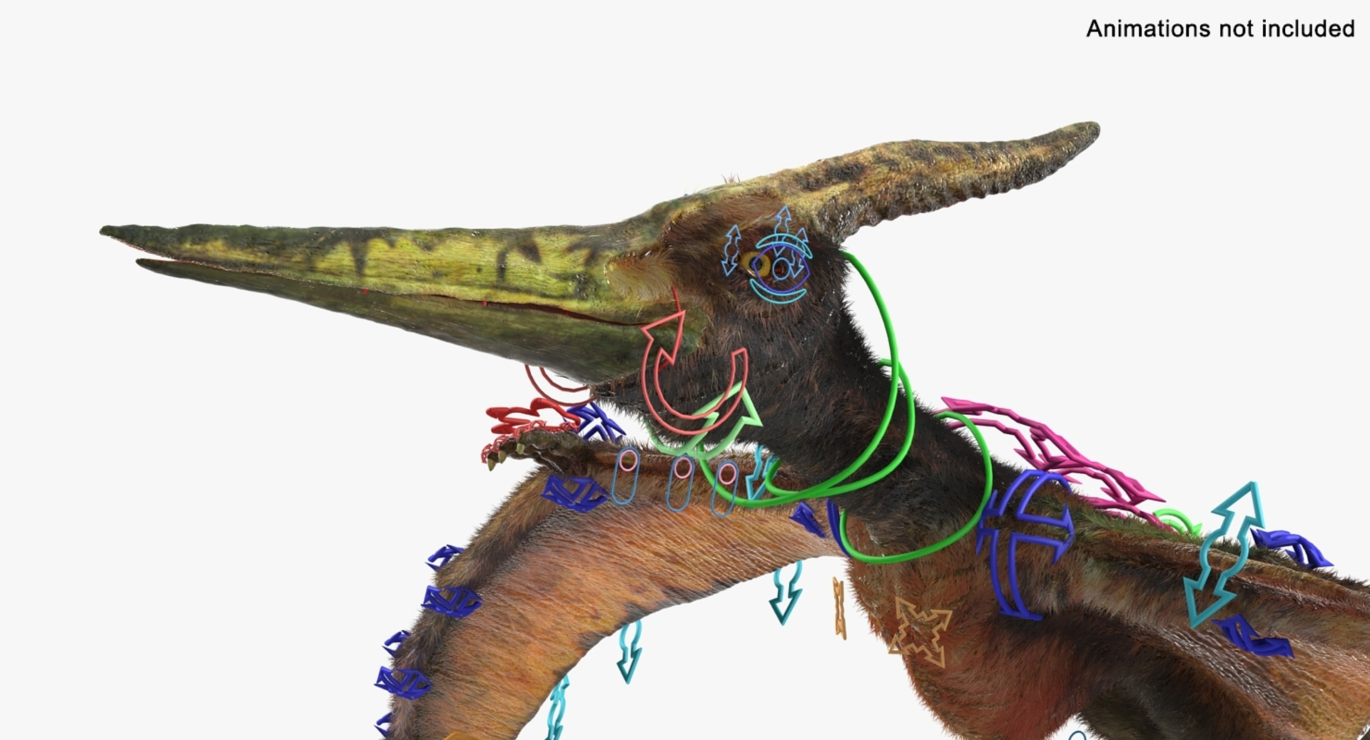 Pteranodon Flying Carnivorous Reptile Model - TurboSquid 1408723