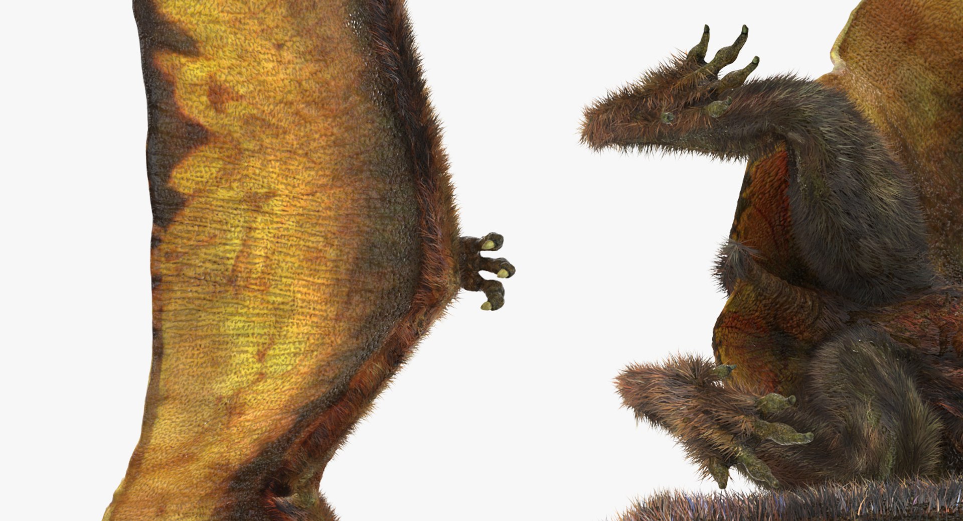 Pteranodon Flying Carnivorous Reptile Model - TurboSquid 1408723