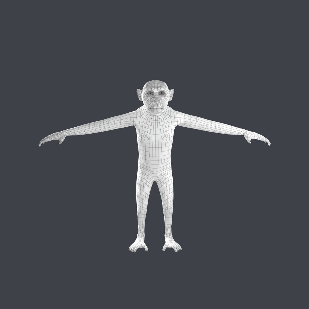 Stylized Monkey Rigged 3D Model - TurboSquid 2012440