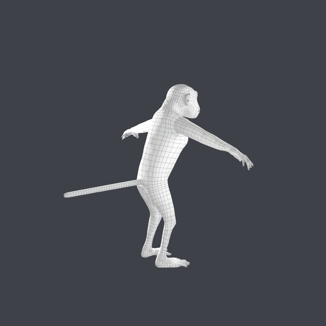 Stylized Monkey Rigged 3D Model - TurboSquid 2012440