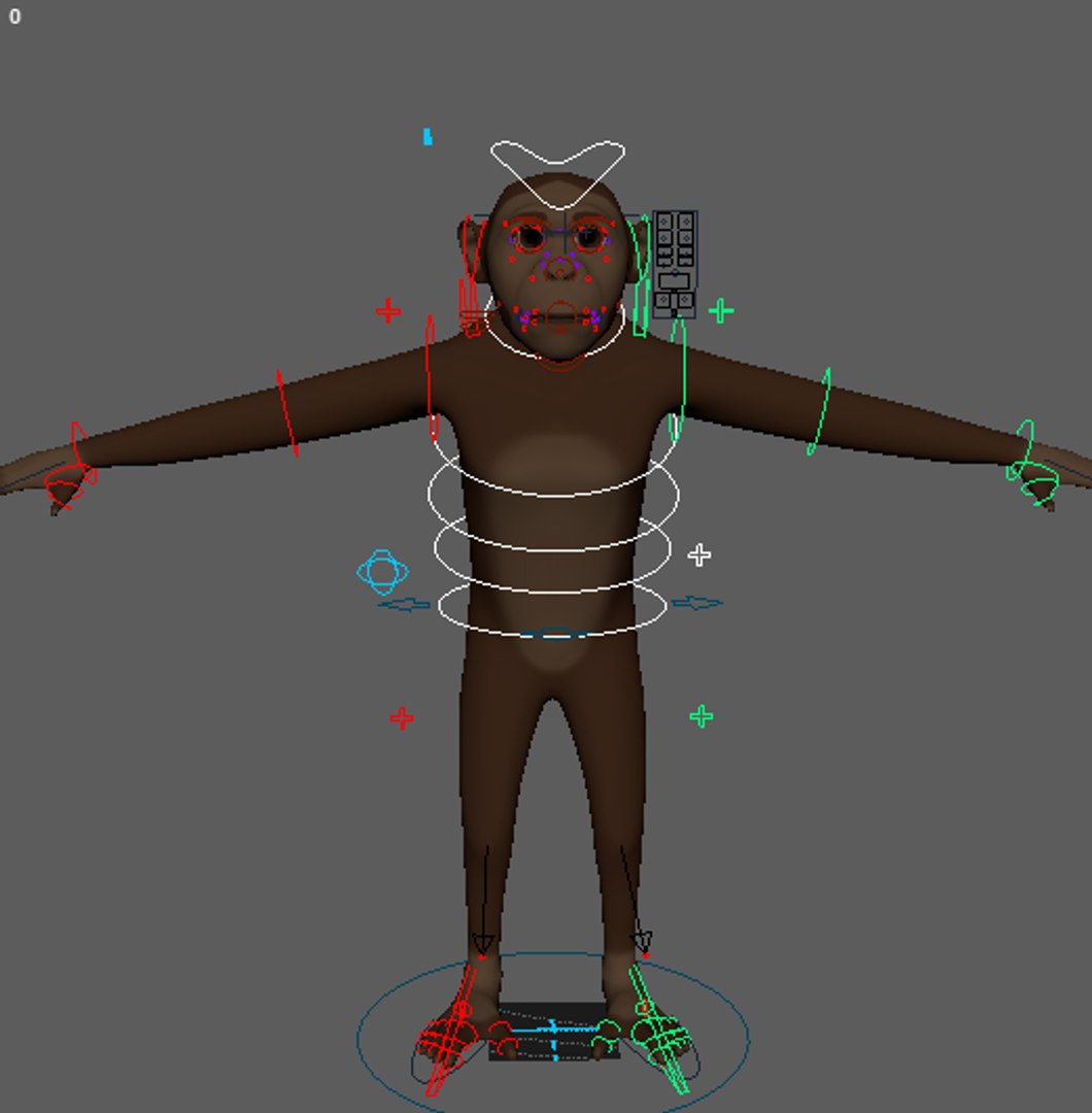Stylized Monkey Rigged 3D Model - TurboSquid 2012440