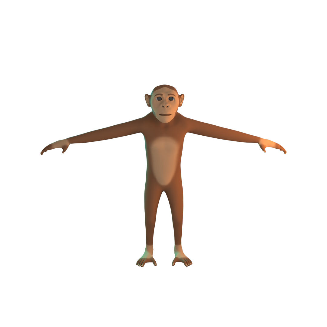 Stylized Monkey Rigged 3D Model - TurboSquid 2012440