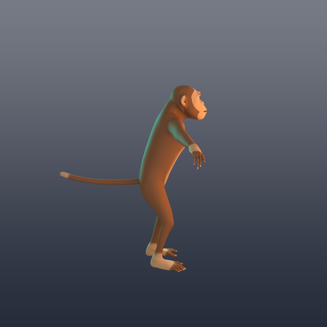 Stylized Monkey Rigged 3D Model - TurboSquid 2012440