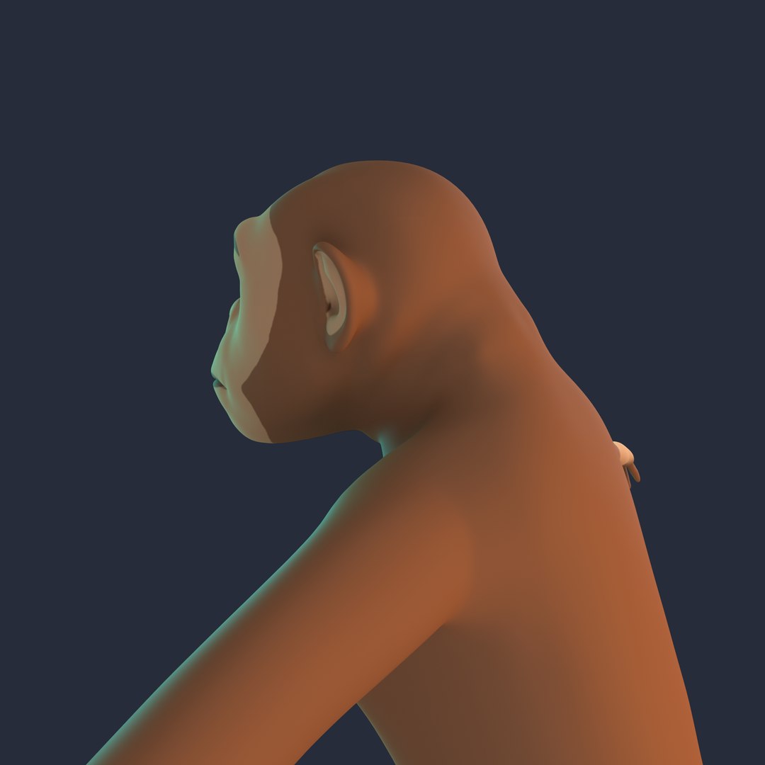 Stylized Monkey Rigged 3D Model - TurboSquid 2012440