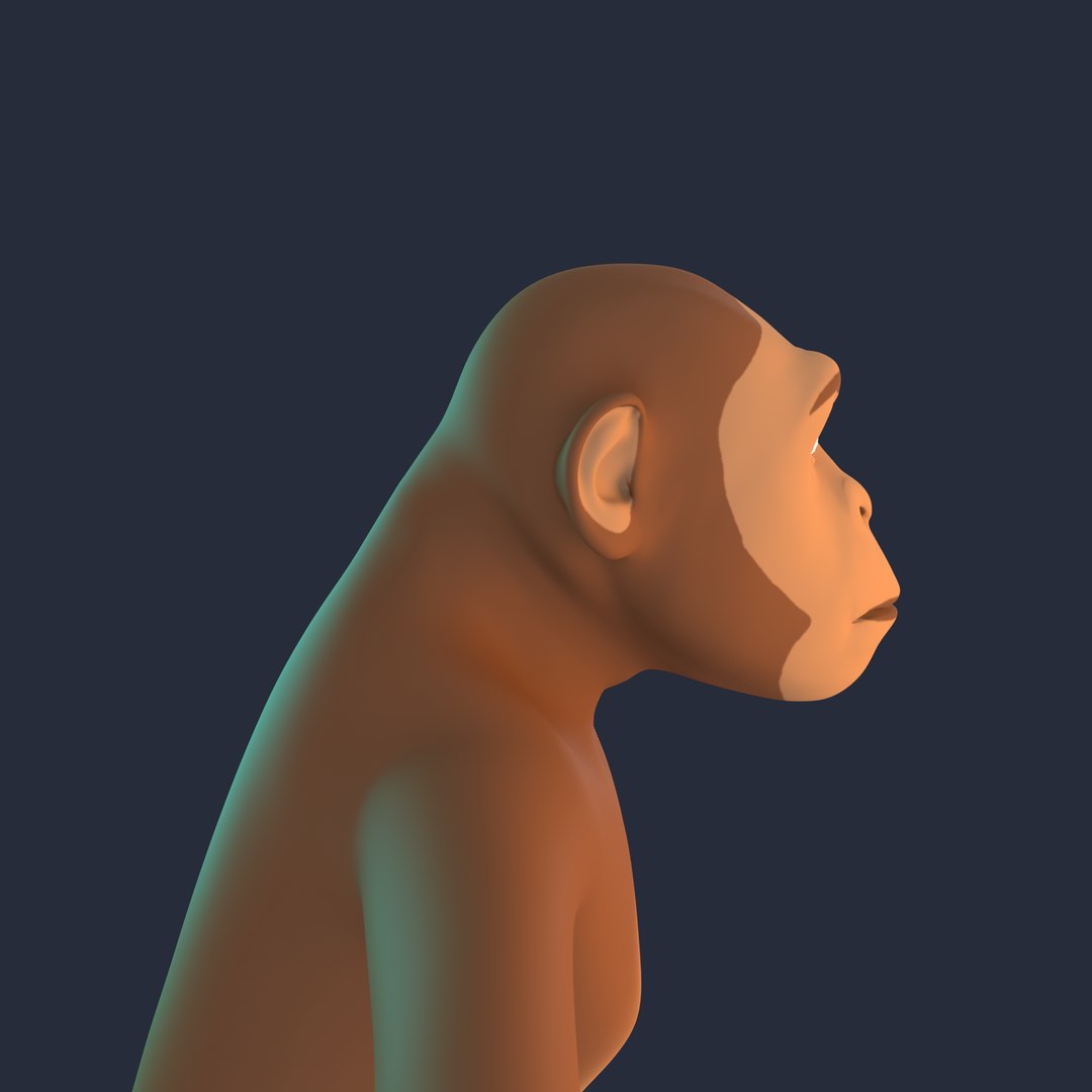Stylized Monkey Rigged 3D Model - TurboSquid 2012440