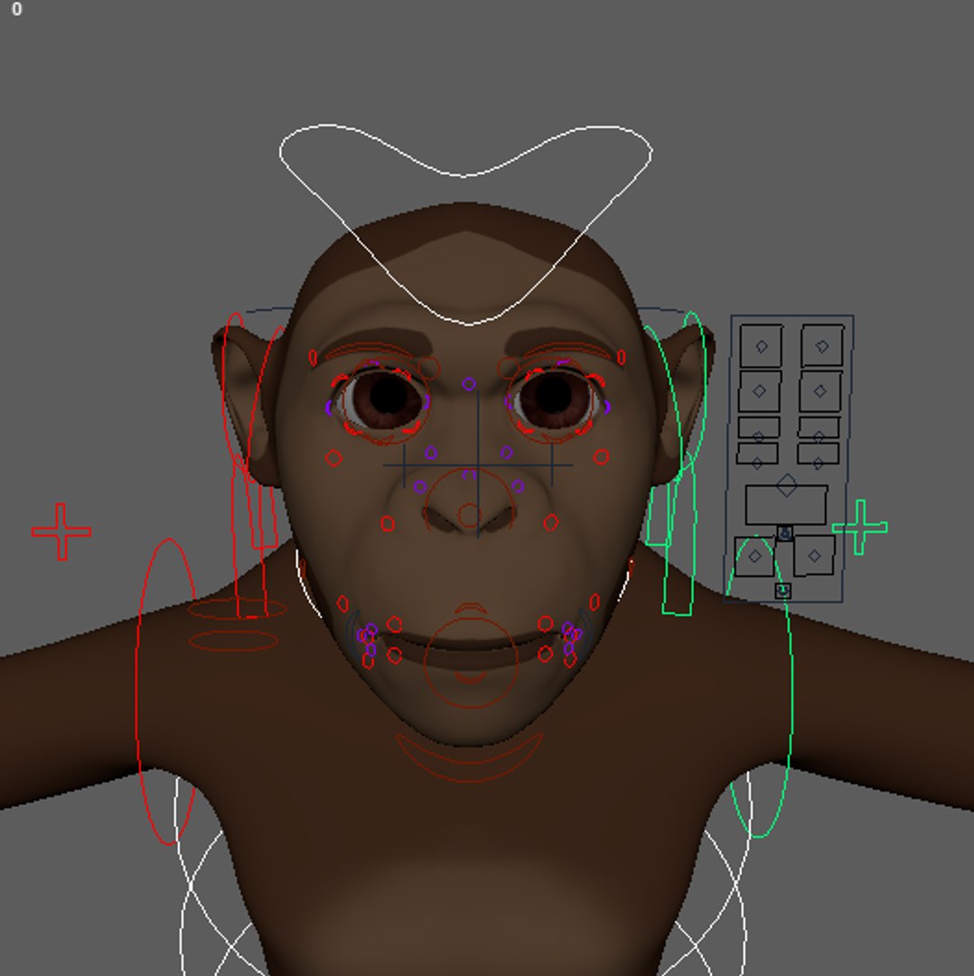 Stylized Monkey Rigged 3D Model - TurboSquid 2012440