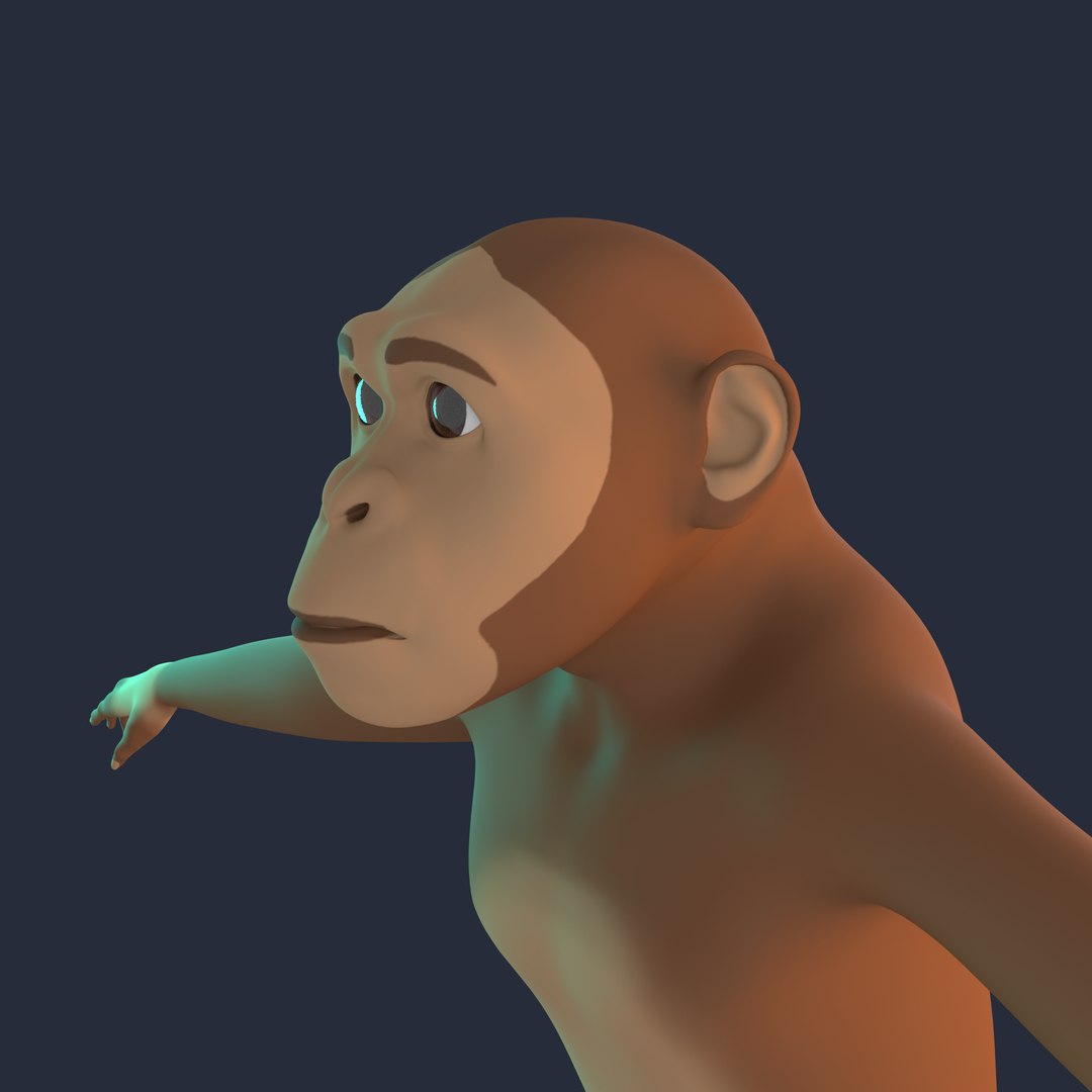 Stylized Monkey Rigged 3D Model - TurboSquid 2012440