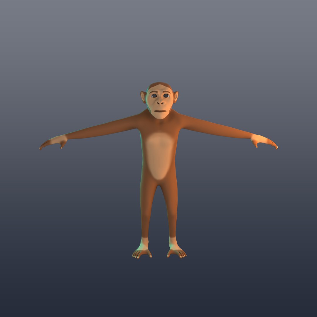 Stylized Monkey Rigged 3D Model - TurboSquid 2012440