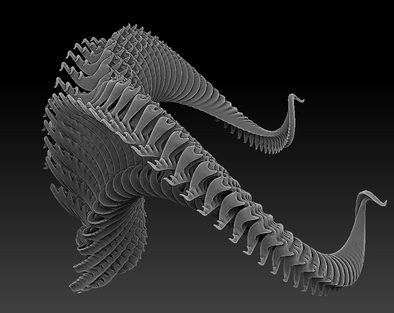 3d Model Of Spiral