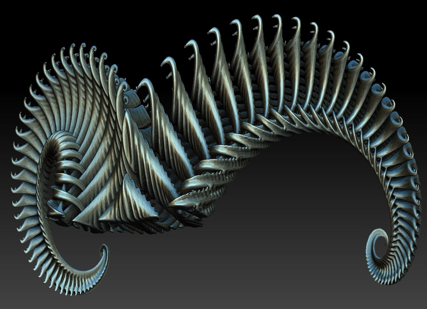 3d Model Of Spiral