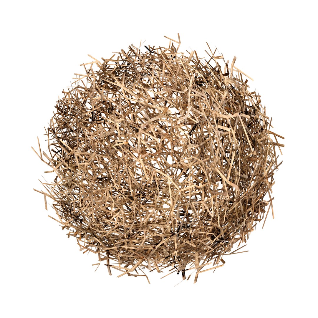 Tumbleweed hay bush 3D - TurboSquid 2069046