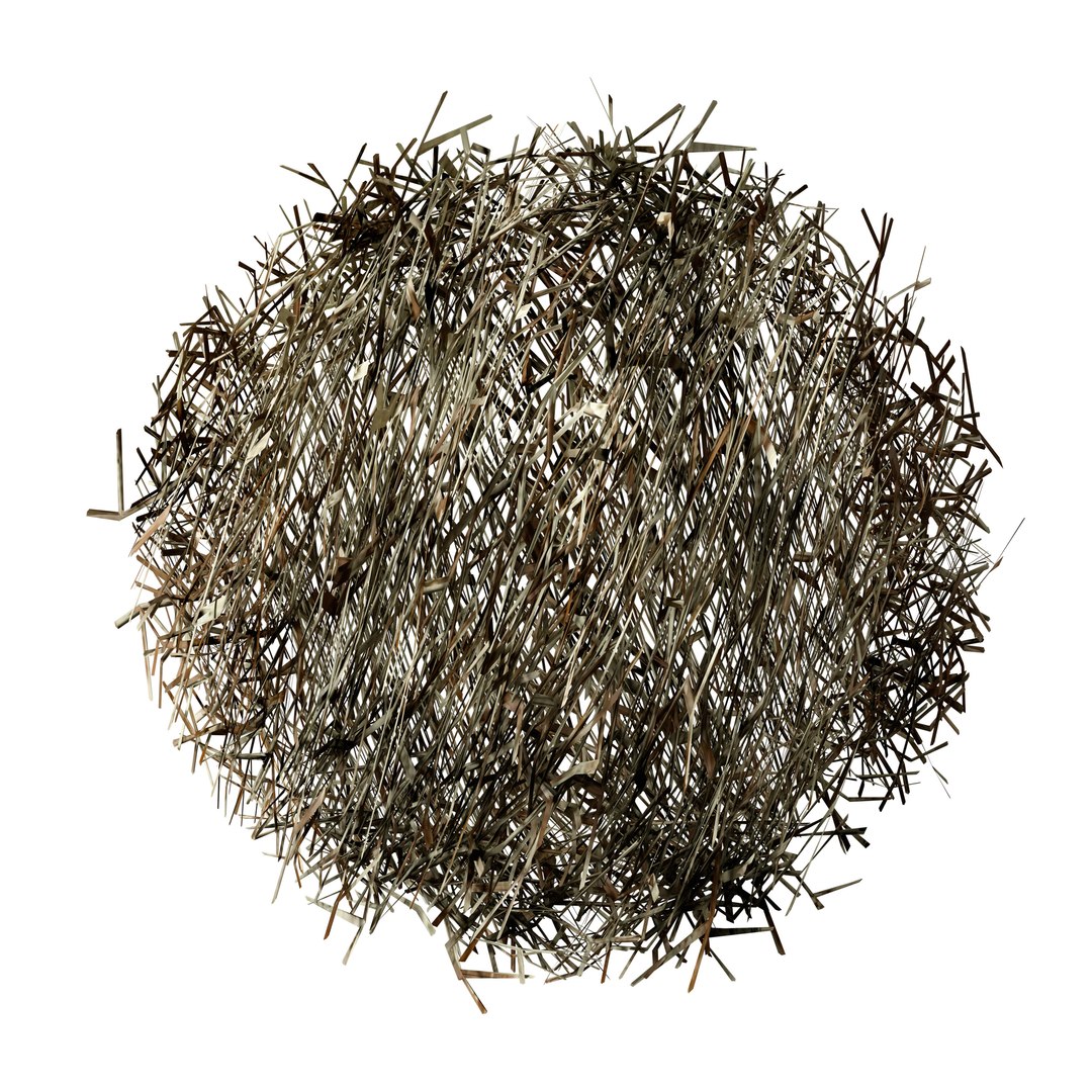 Tumbleweed hay bush 3D - TurboSquid 2069046