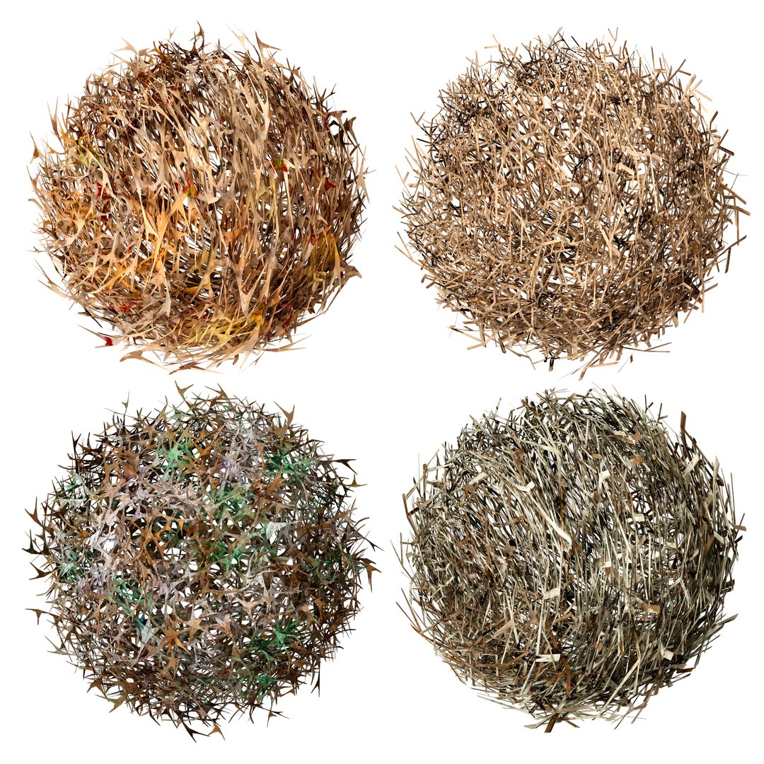 Tumbleweed hay bush 3D - TurboSquid 2069046