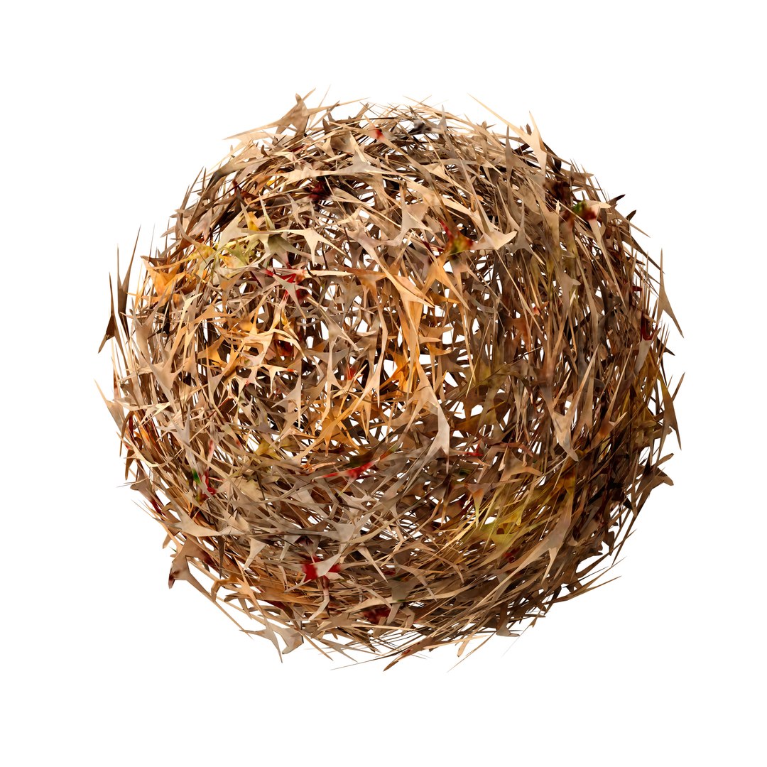 Tumbleweed hay bush 3D - TurboSquid 2069046