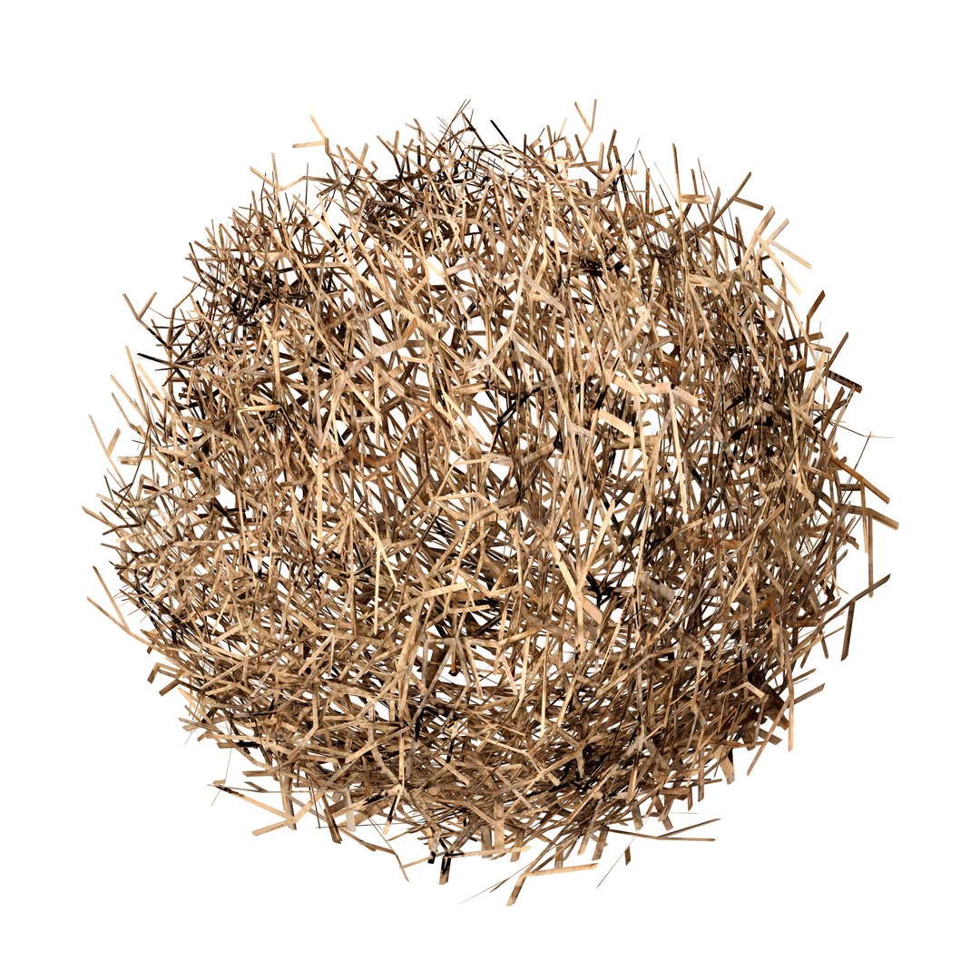 Tumbleweed hay bush 3D - TurboSquid 2069046