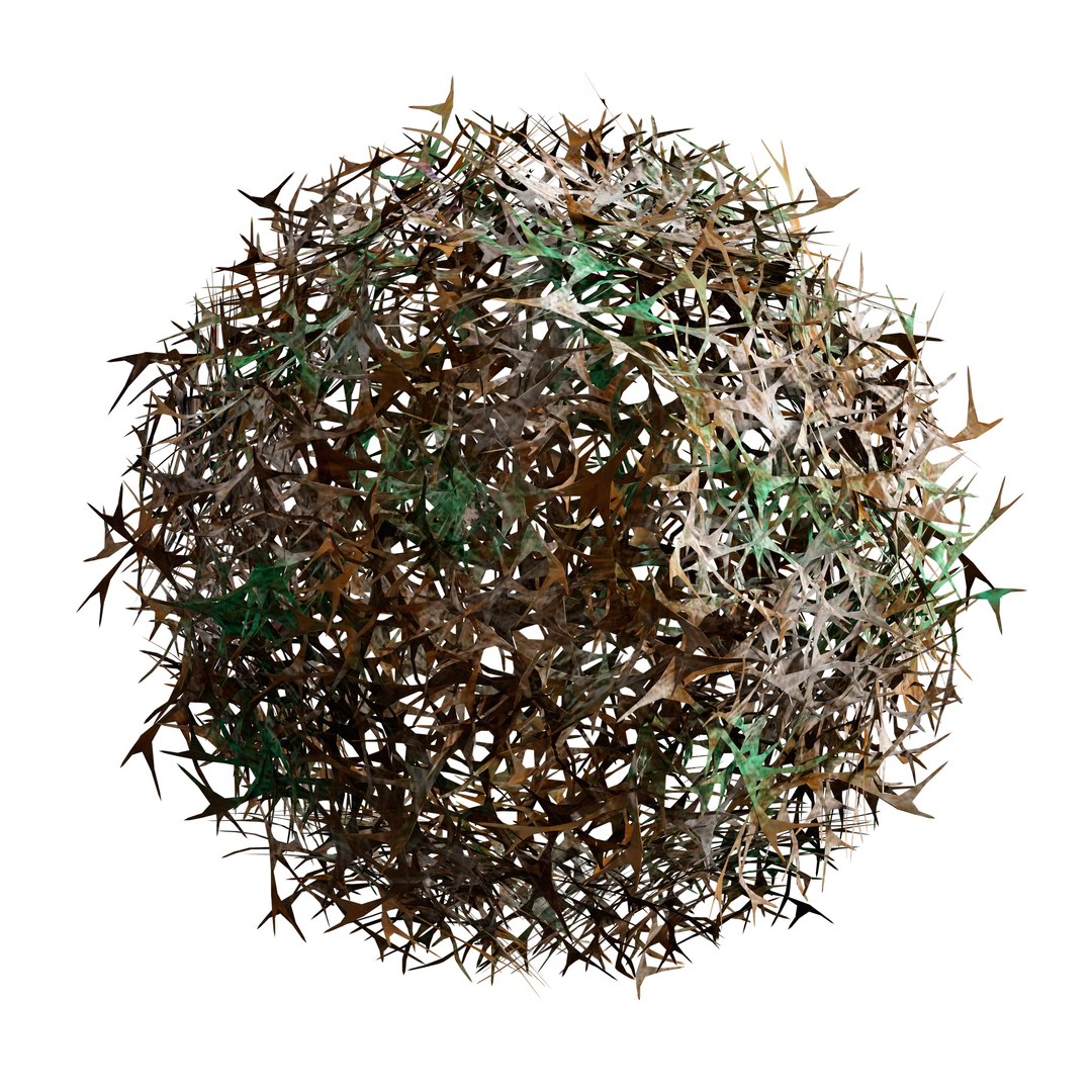 Tumbleweed hay bush 3D - TurboSquid 2069046