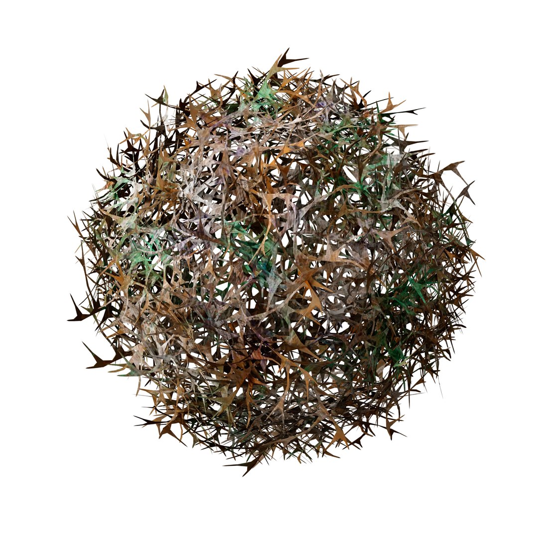 Tumbleweed hay bush 3D - TurboSquid 2069046