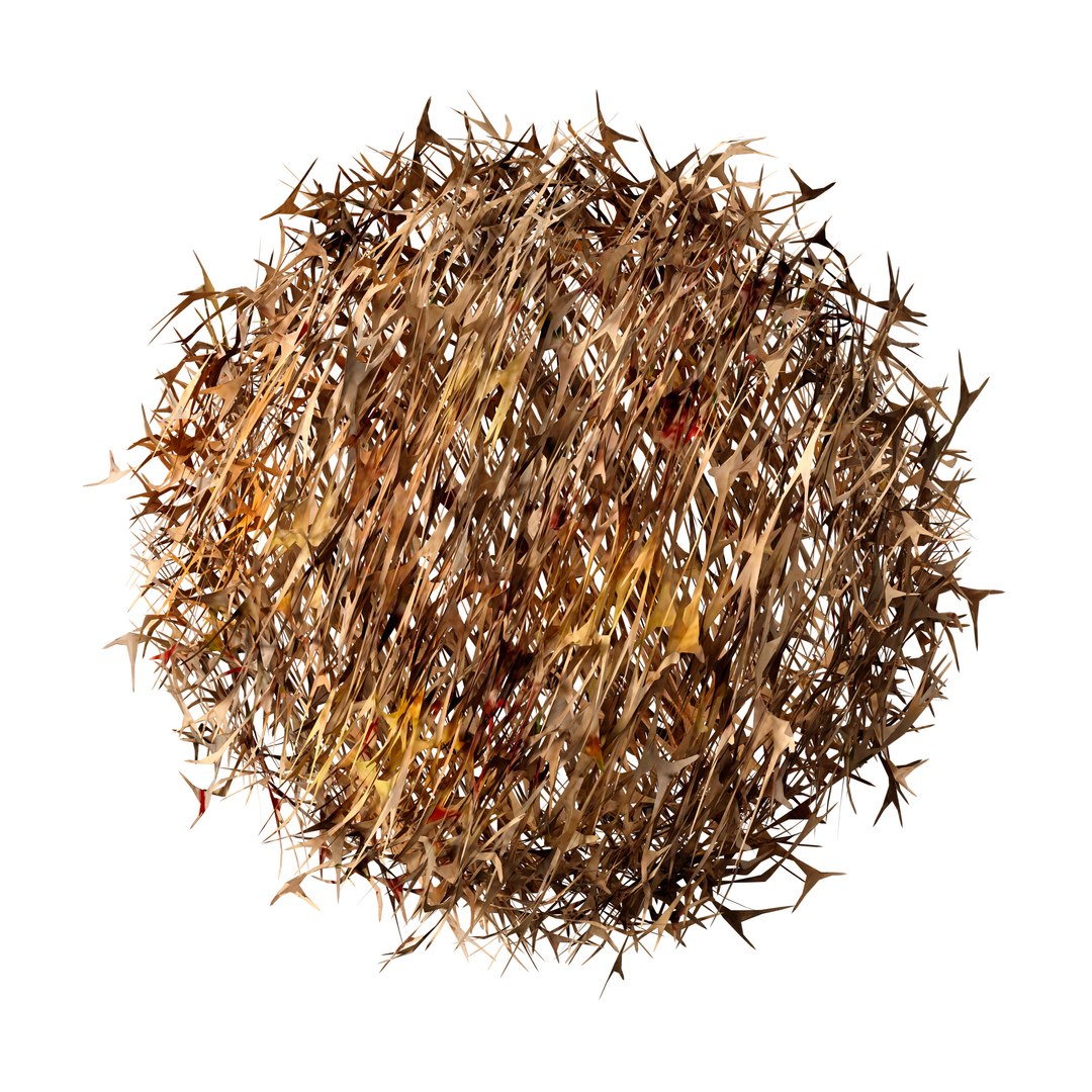 Tumbleweed hay bush 3D - TurboSquid 2069046