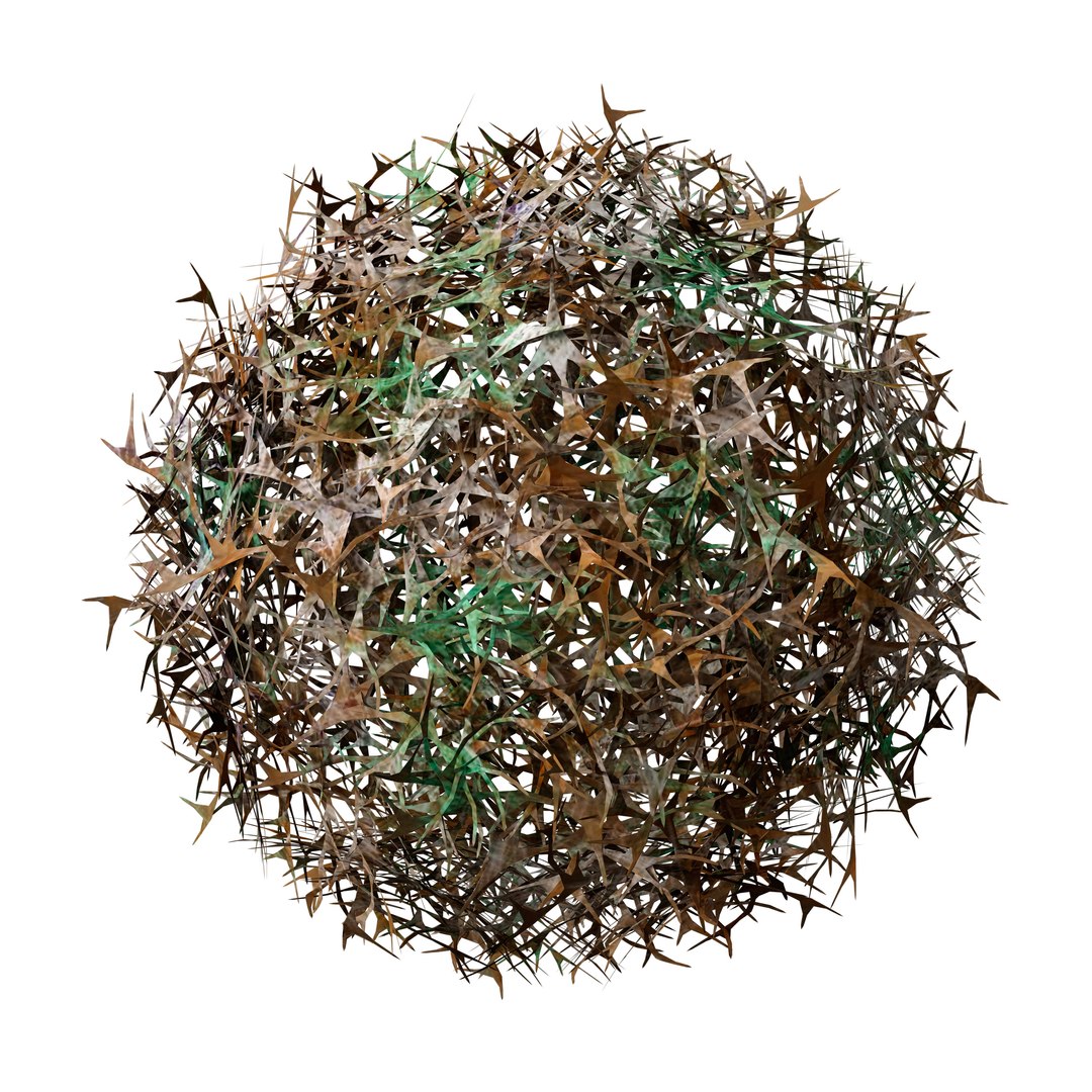Tumbleweed hay bush 3D - TurboSquid 2069046