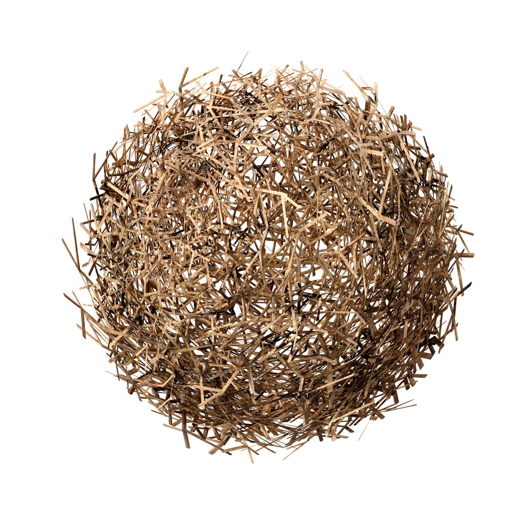 Tumbleweed hay bush 3D - TurboSquid 2069046