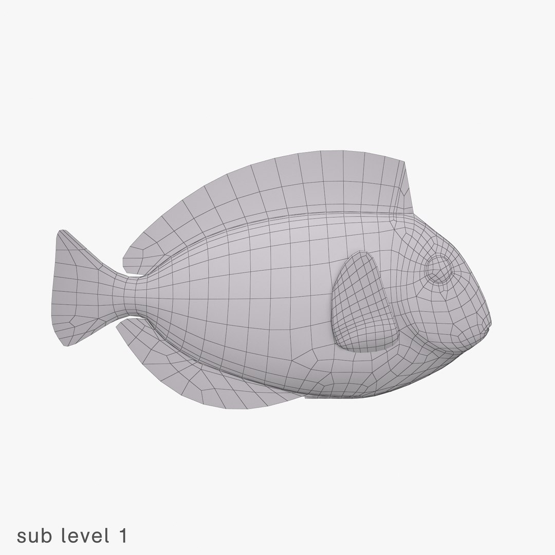 Blue Tang Rigged Fish 3D Model - TurboSquid 1238299