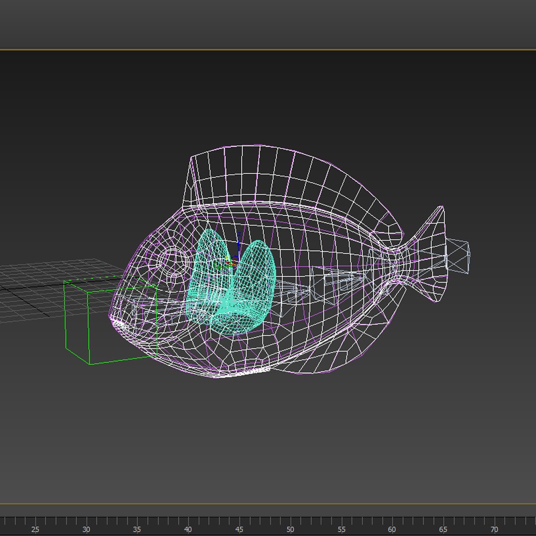Blue Tang Rigged Fish 3D Model - TurboSquid 1238299