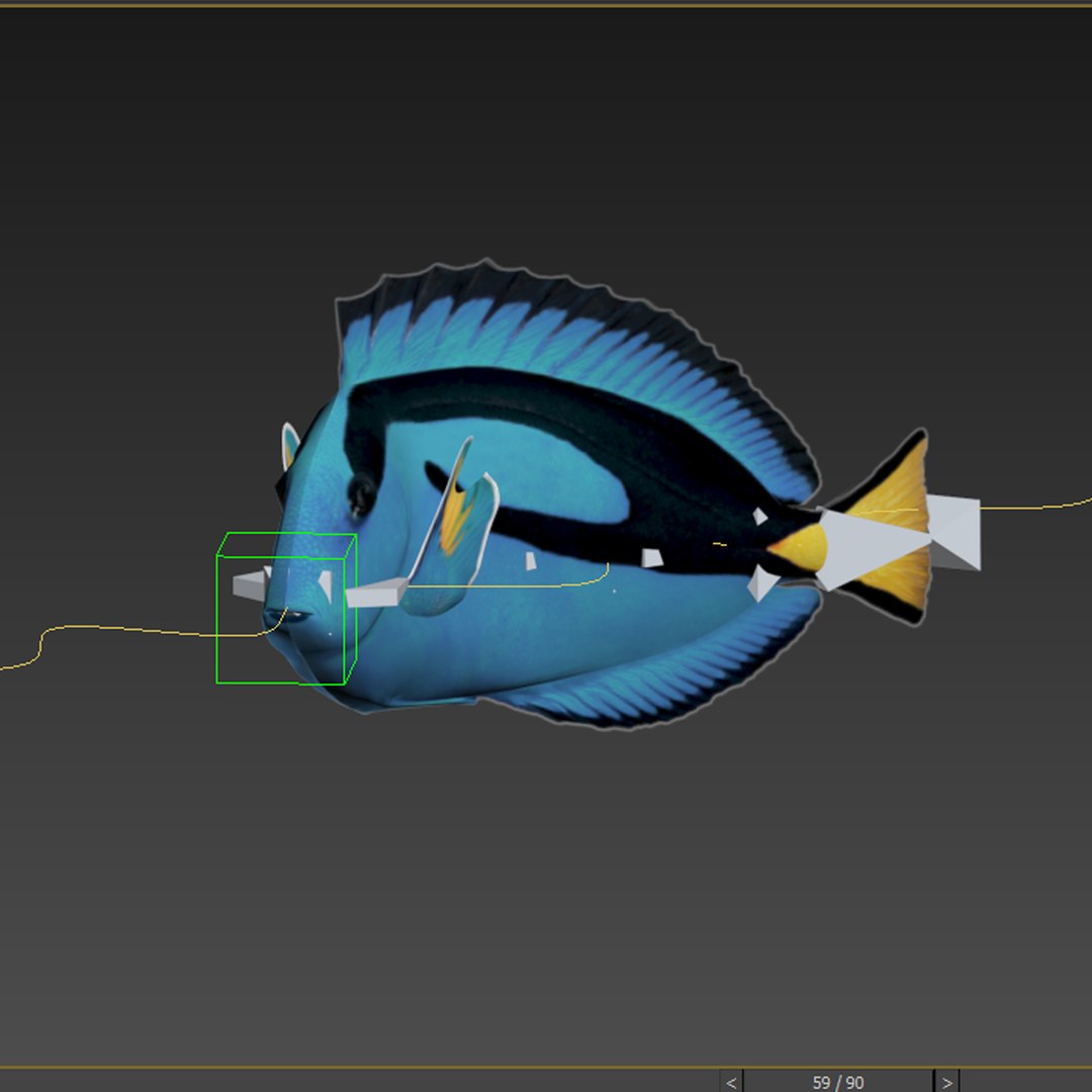Blue Tang Rigged Fish 3D Model - TurboSquid 1238299
