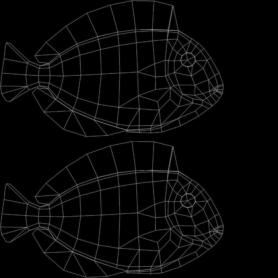 Blue Tang Rigged Fish 3D Model - TurboSquid 1238299