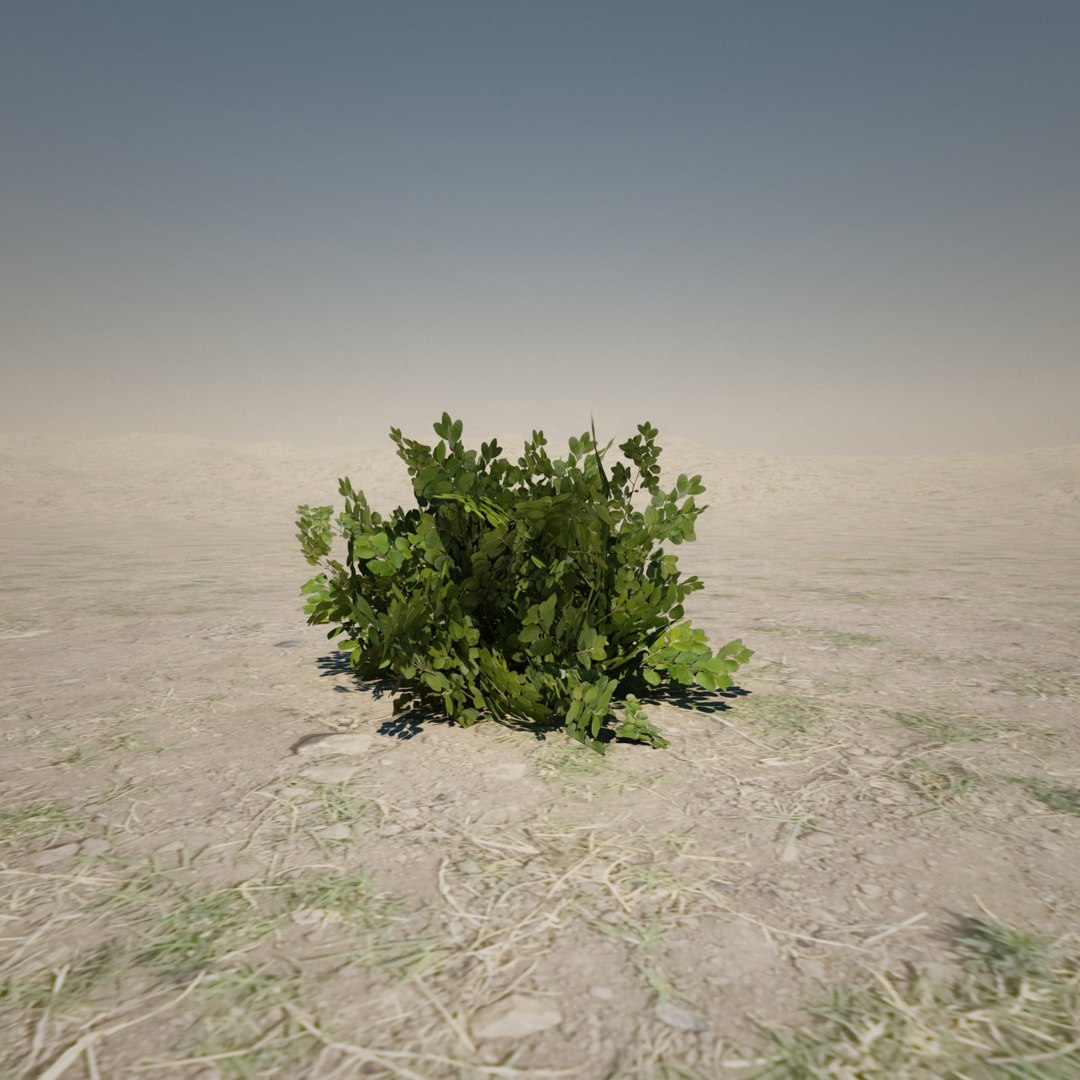3ds Max Small Bush