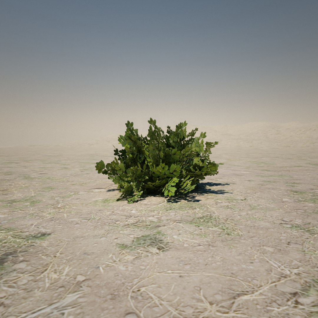 3ds Max Small Bush