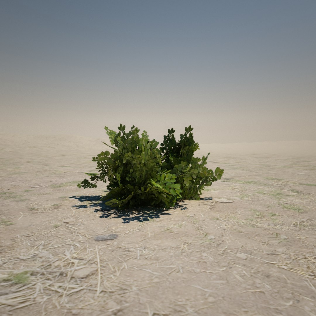3ds Max Small Bush