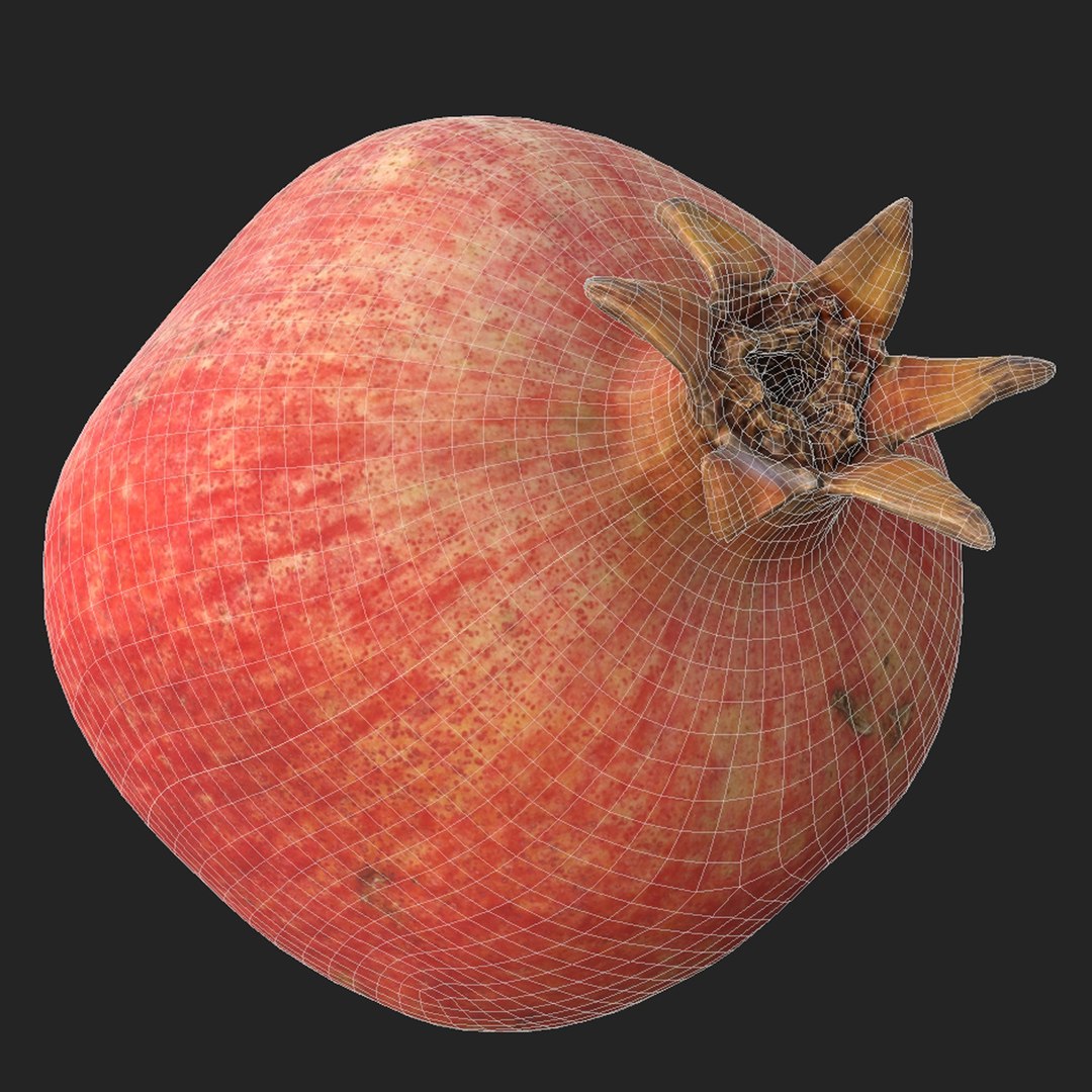 Pomegranate 3D Model - TurboSquid 2007667
